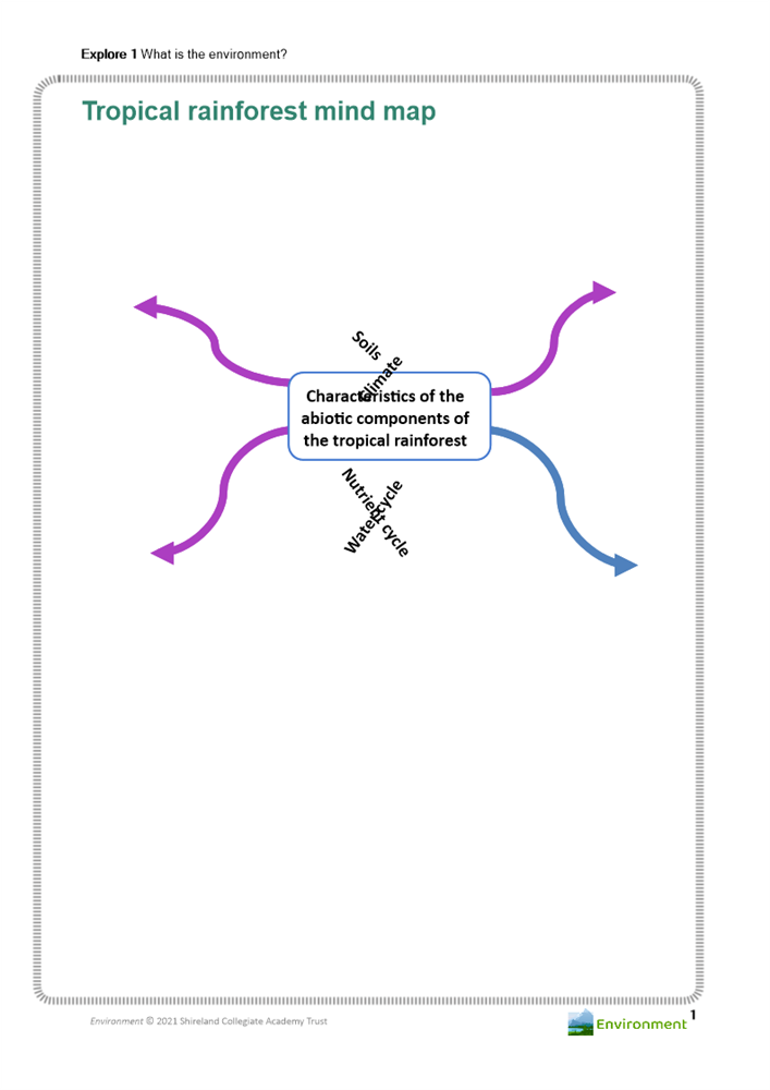 Tropical rainforest mind map | eduu.school