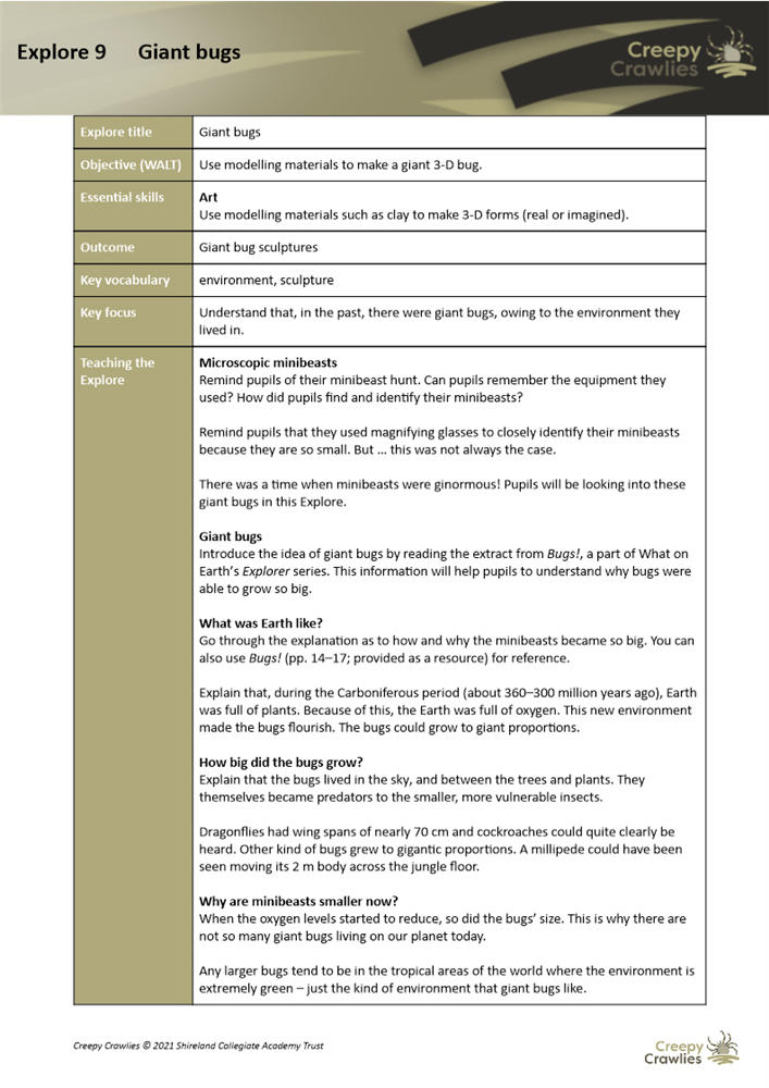 Explore 9 Giant Bugs Teacher S Notes Eduu School