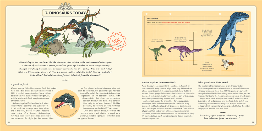 Explore 12 Dinosaur extinction: bird handout | eduu.school