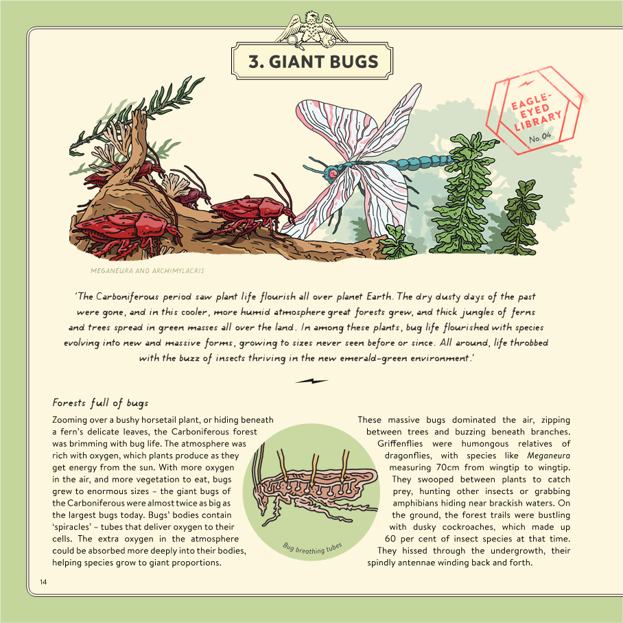 Explore 9 Giant bugs: Explorer Bugs! | eduu.school