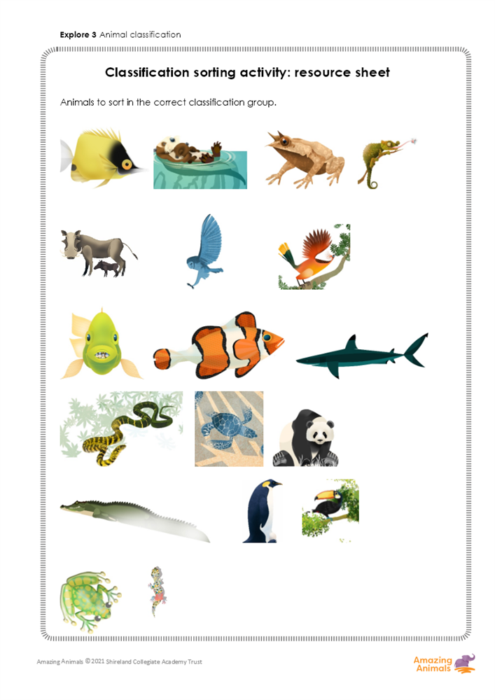 Explore 3 Animal classification: sorting activity resource sheet | eduu ...